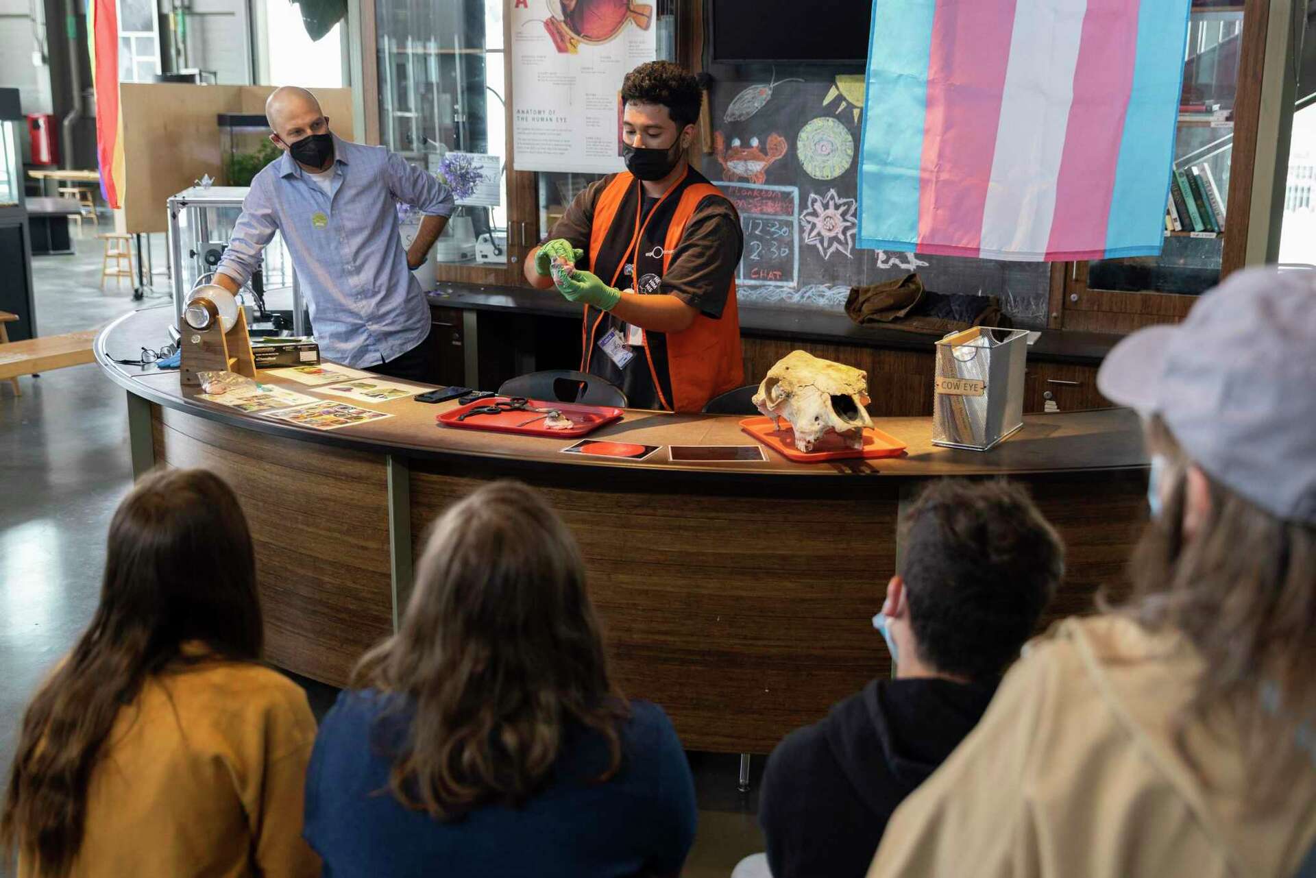 You can’t unsee this: Cow eyeball dissections are S.F.’s greatest ...