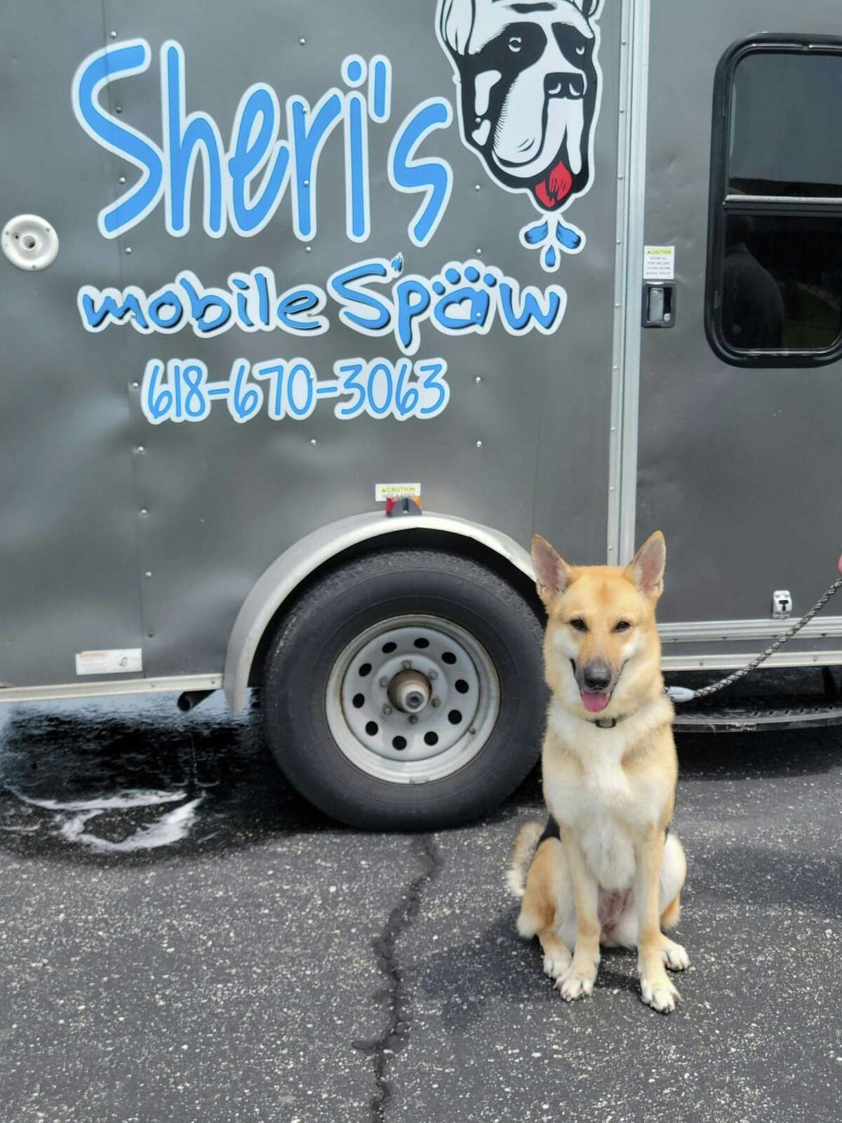 Groomer of 25 years takes business to next level