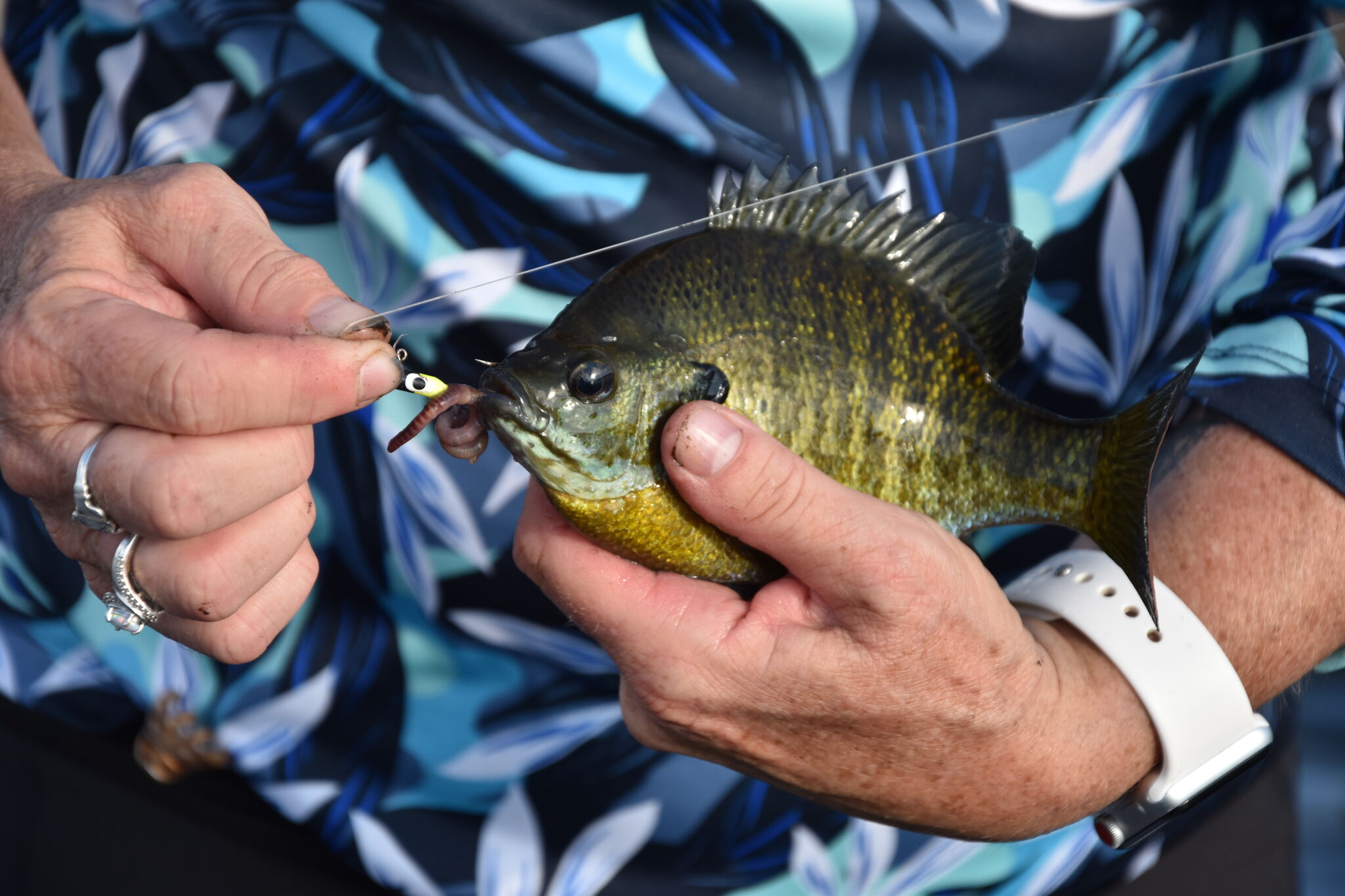 Bluegill Fishing With Bobbers And Worms | Reviewmotors.co