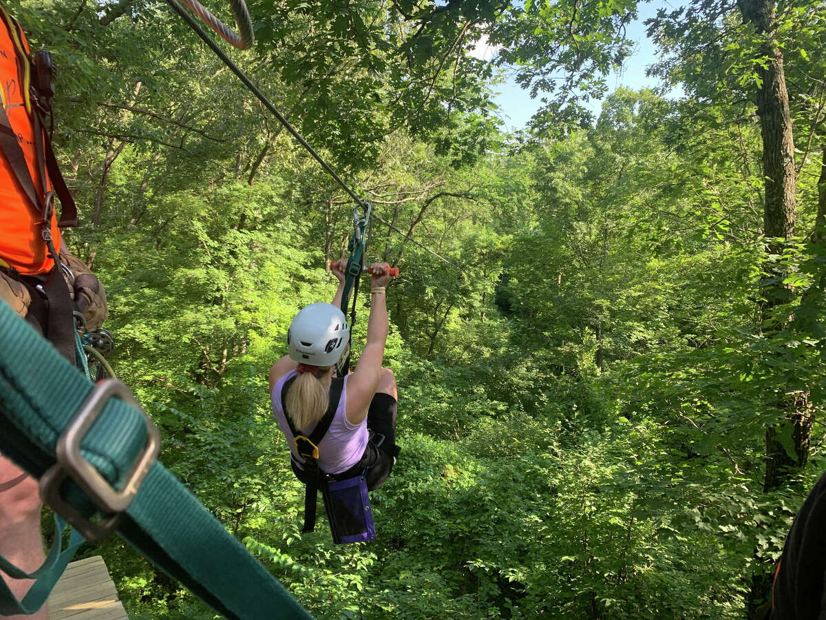 Discover with Billy: Grafton Zipline tours a thrilling adventure