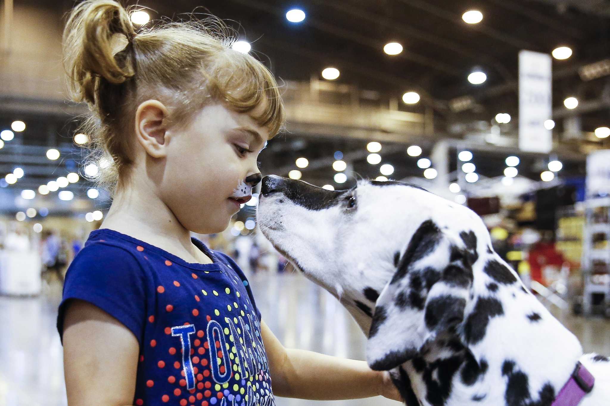 Things to do in Houston: World Series of Dog Shows, Frida Fest