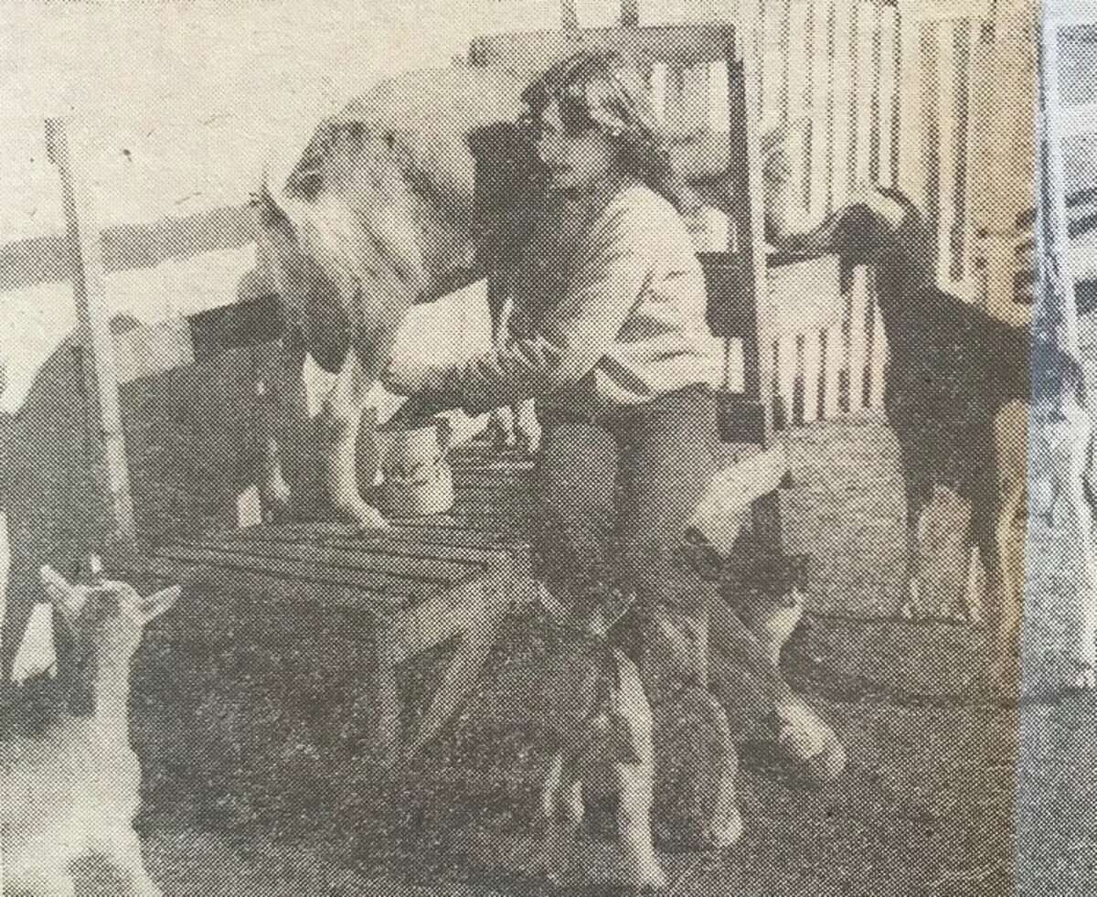Throwback: Fair goes to the goats in 1976