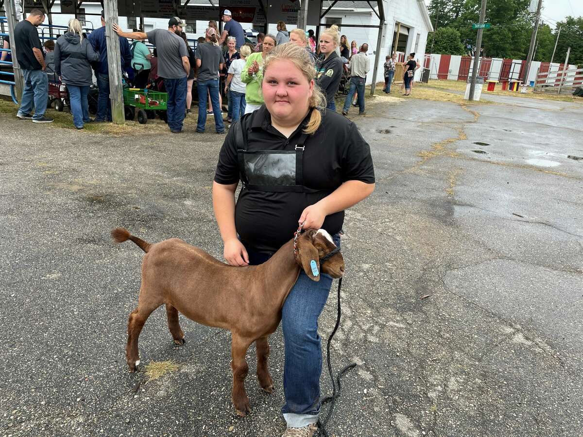 4-H'ers show their 'kids' at the Mecosta County Free Fair's goat show