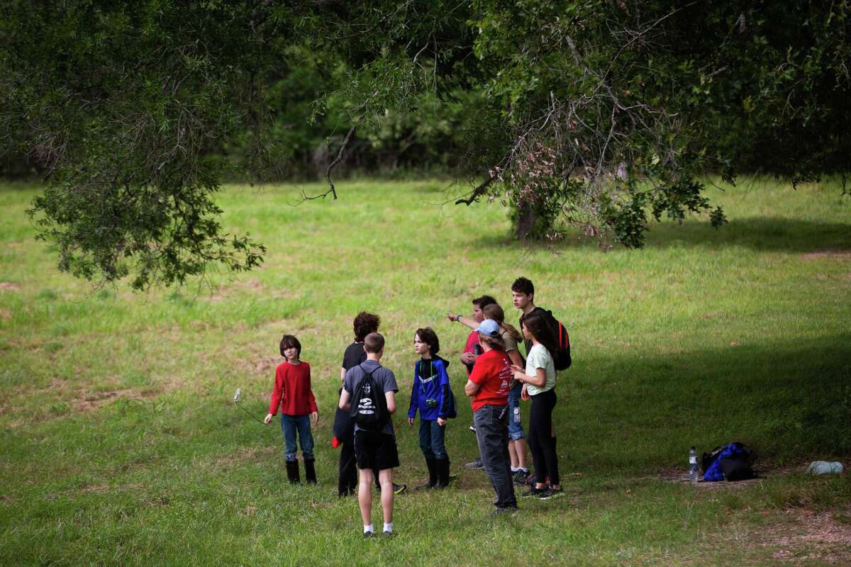 Gulf Coast prairie, Houston's native ecosystem, nears extinction