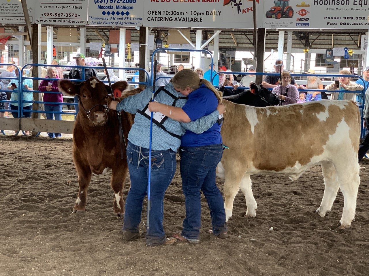 Grand Champion steer chosen at Mecosta County Free Fair