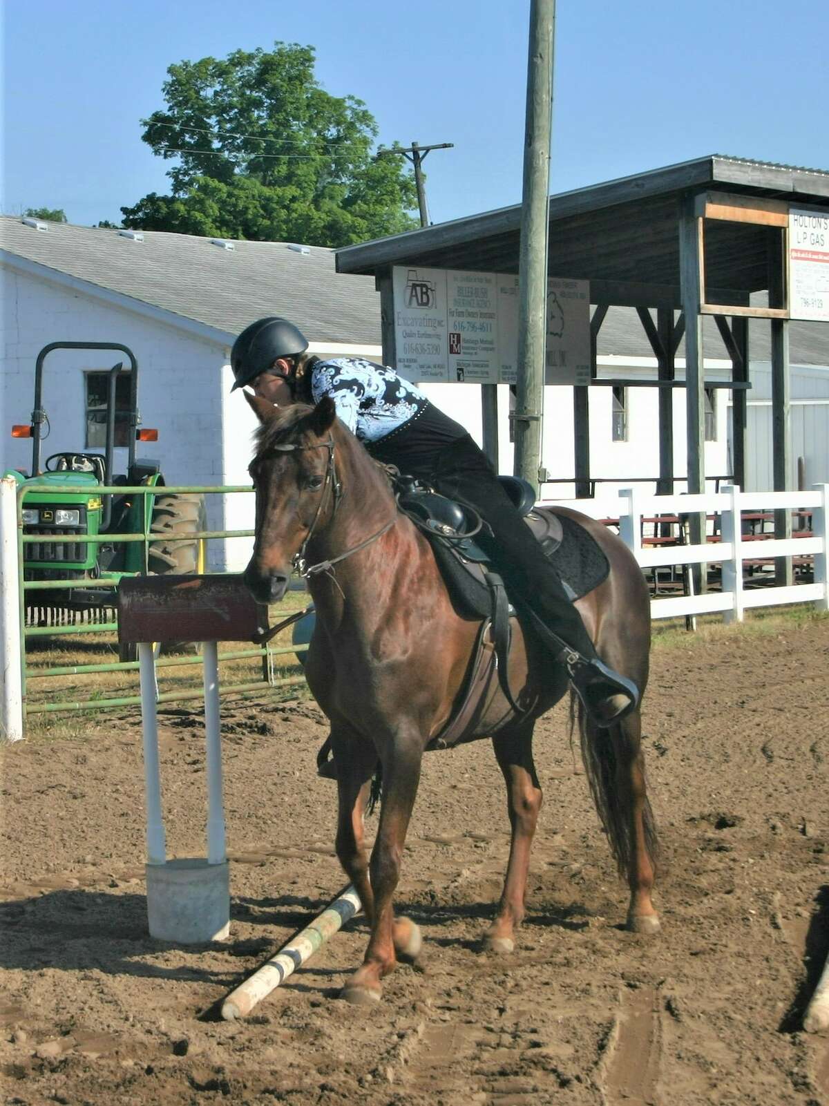 4-H participants rein in the competition at Mecosta County Free Fair ...