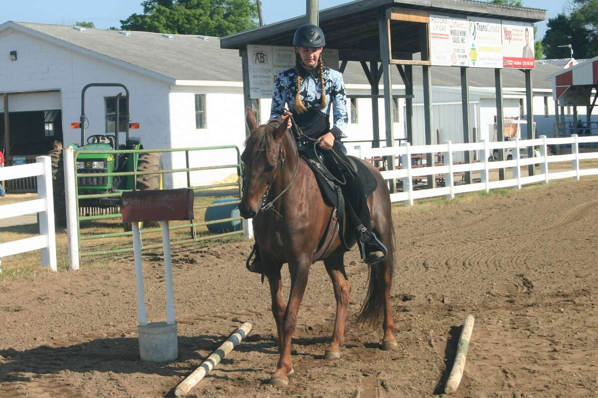 4-H participants rein in the competition at Mecosta County Free Fair ...