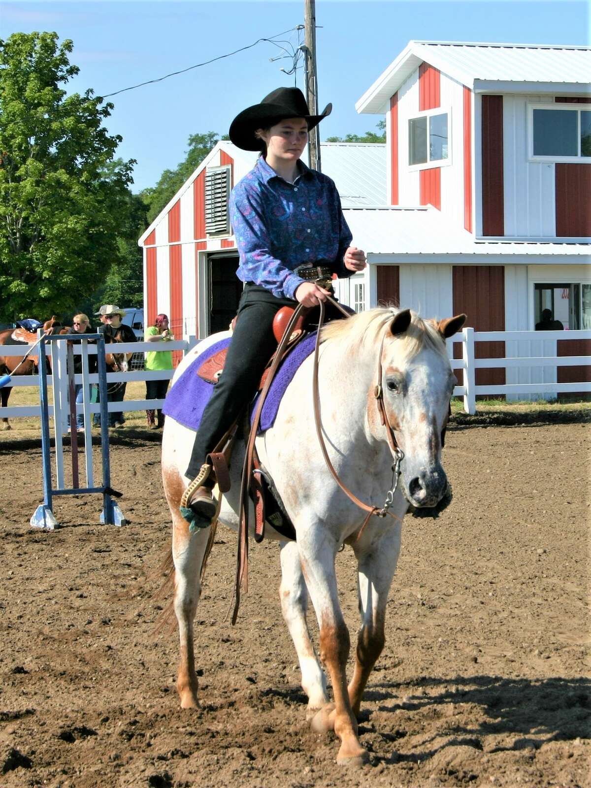 4-H participants rein in the competition at Mecosta County Free Fair ...
