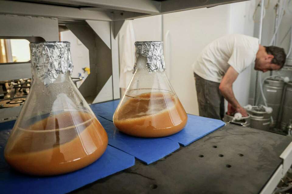 The secret behind the Bay Area’s most popular tropical beers: GMO yeast