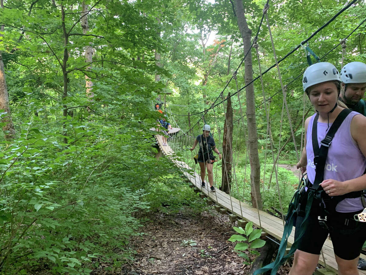 Grafton Ziplines offer 2 miles of adventure