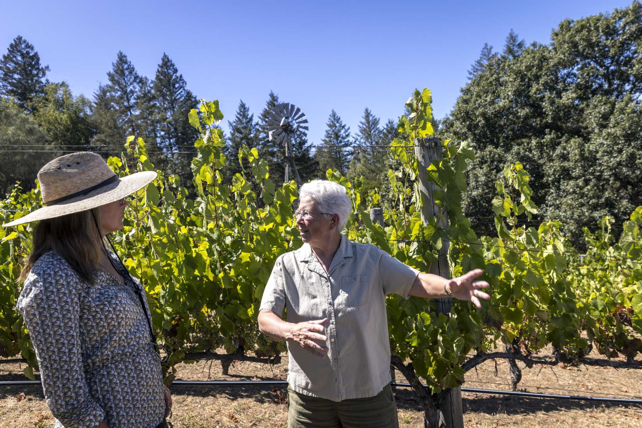 Napa Valley's Lagier Meredith Vineyard hands control over for $0