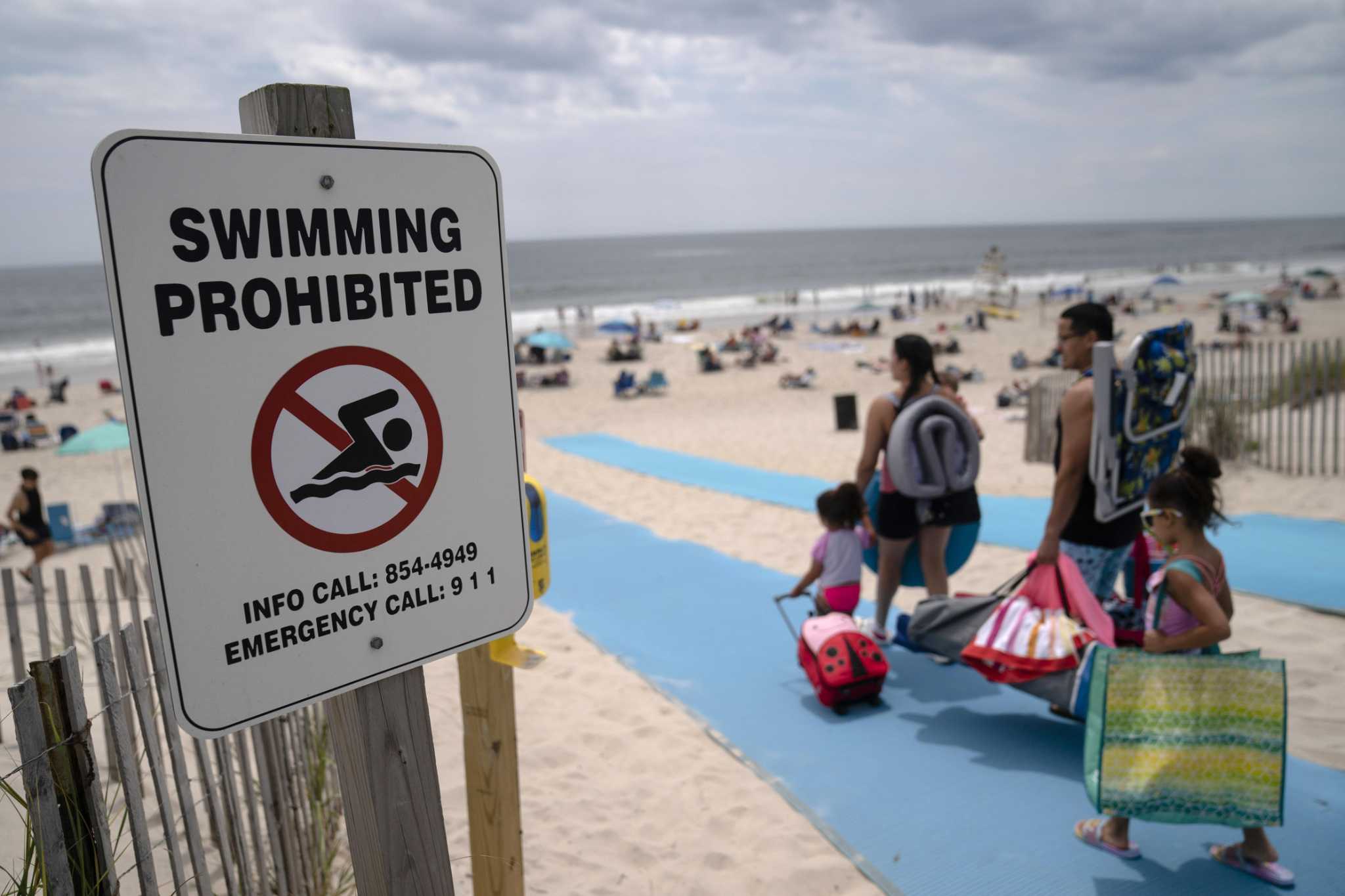 Sharks in Connecticut: Here’s what you need to know