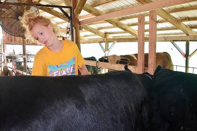 Scott County Fair ready to entertain, showcase | Journal-Courier