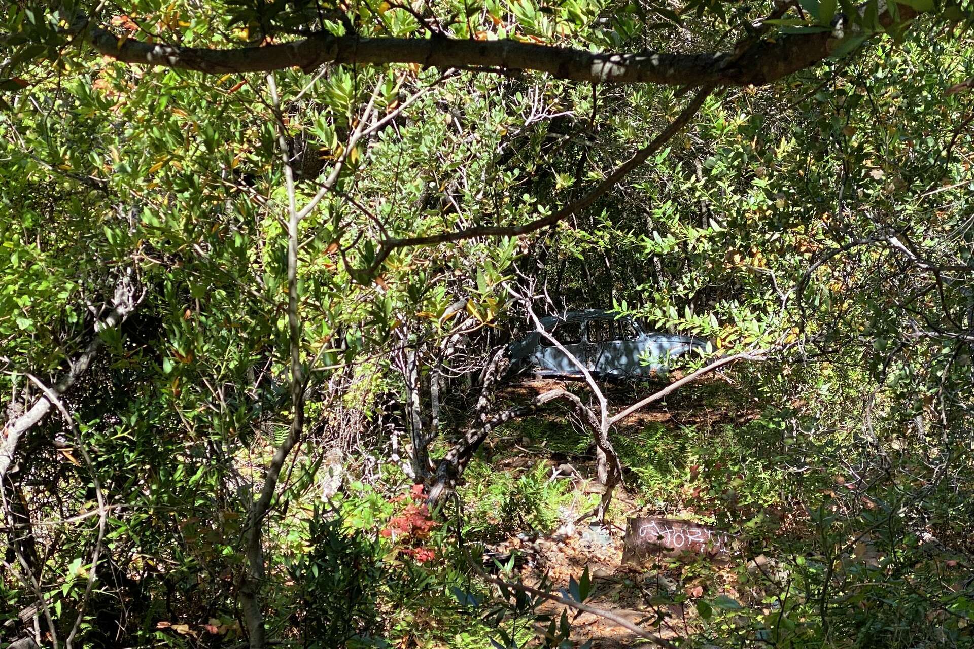A hike to the top of Mount Umunhum in the South Bay Area