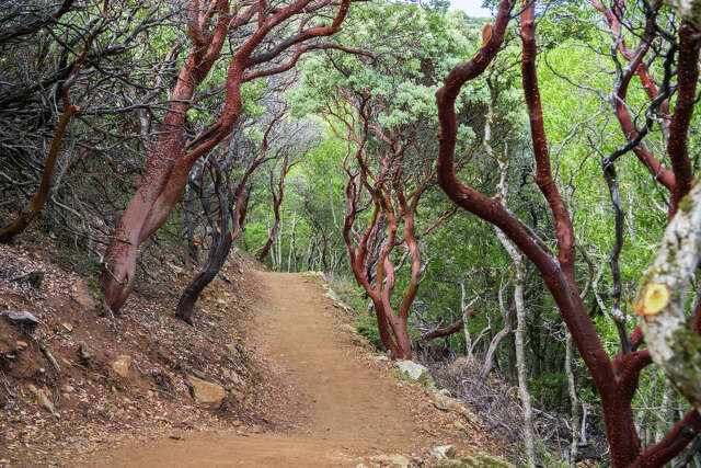A hike to the top of Mount Umunhum in the South Bay Area