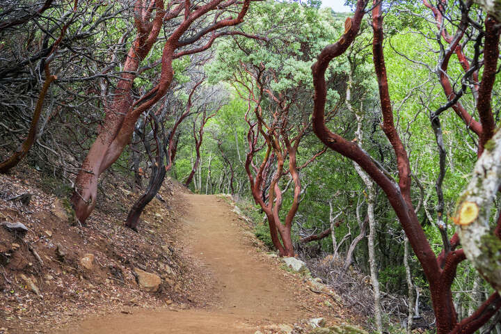 A hike to the top of Mount Umunhum in the South Bay Area