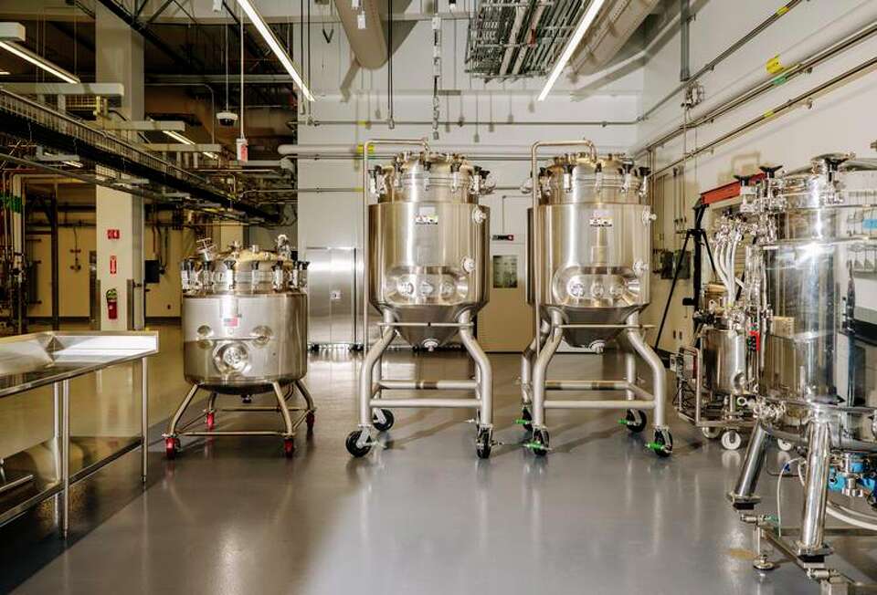 California just invested millions in lab-grown meat, becoming the first ...