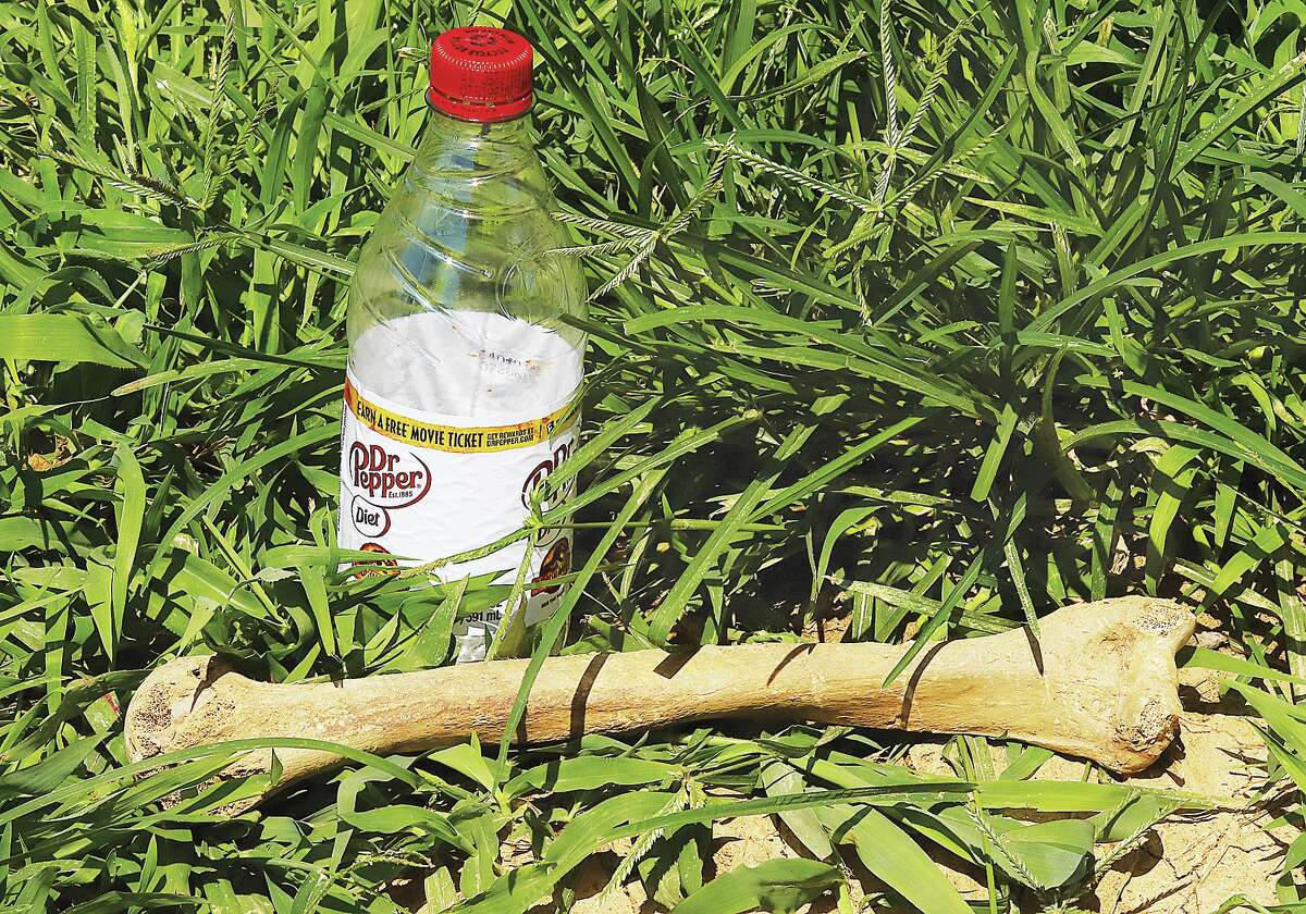 Groundhogs damage Alton graves