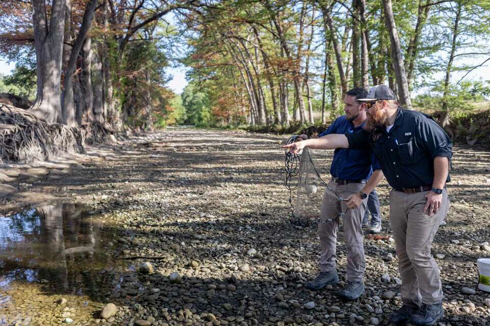 Bandera River Authority saves fish from drought