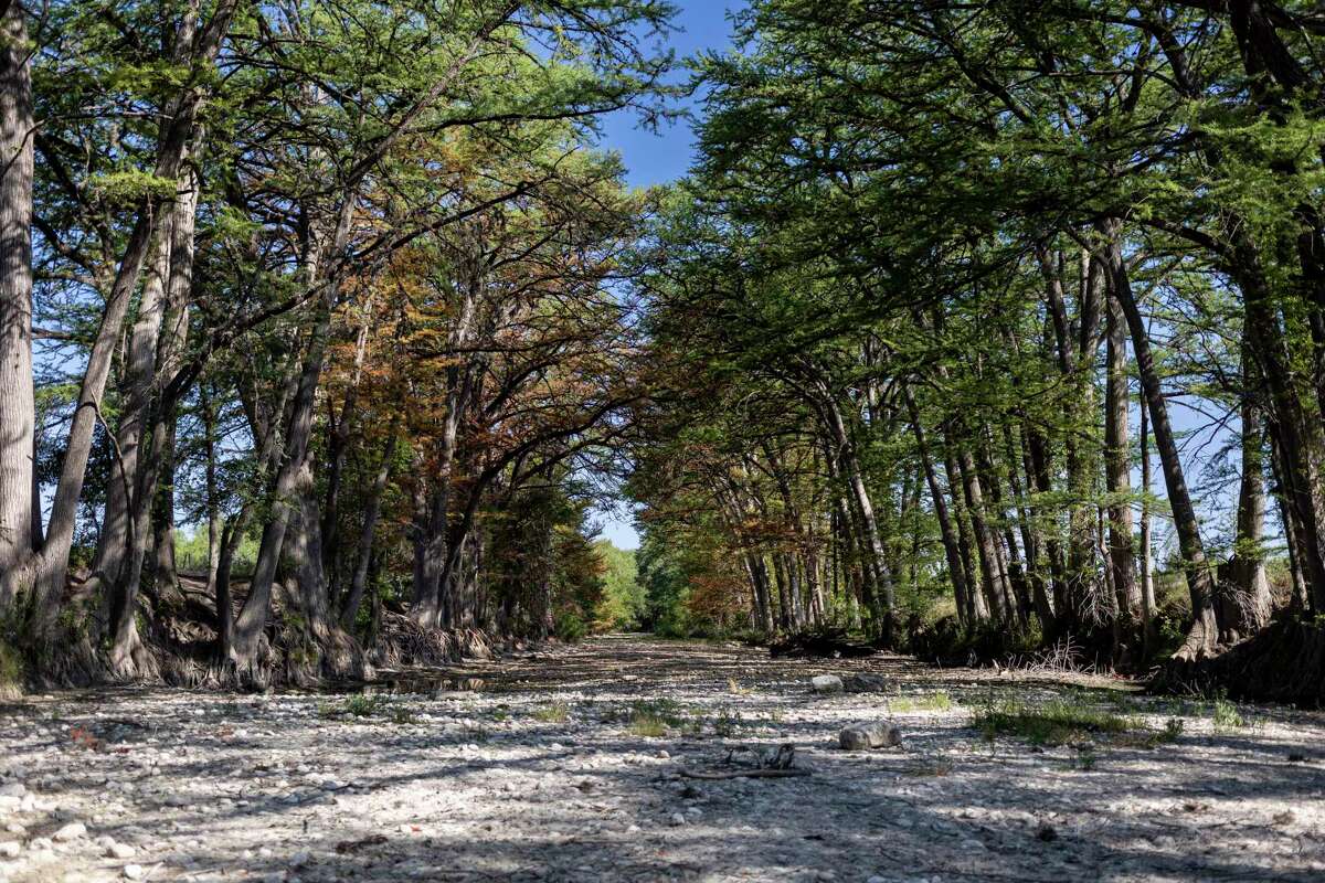 Bandera River Authority saves fish from drought