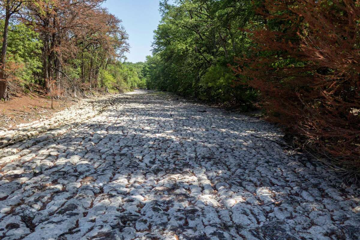 Bandera River Authority saves fish from drought