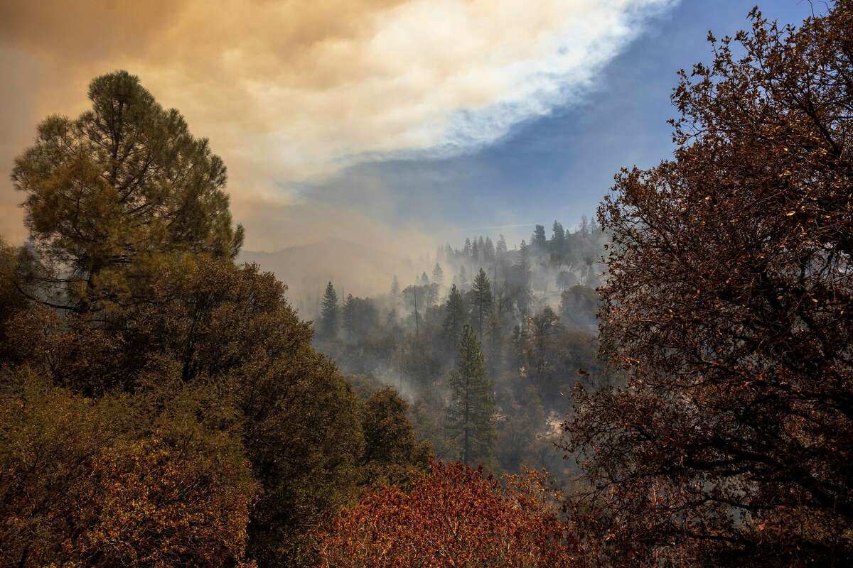Oak Fire updates: Number of homes destroyed rises to 21