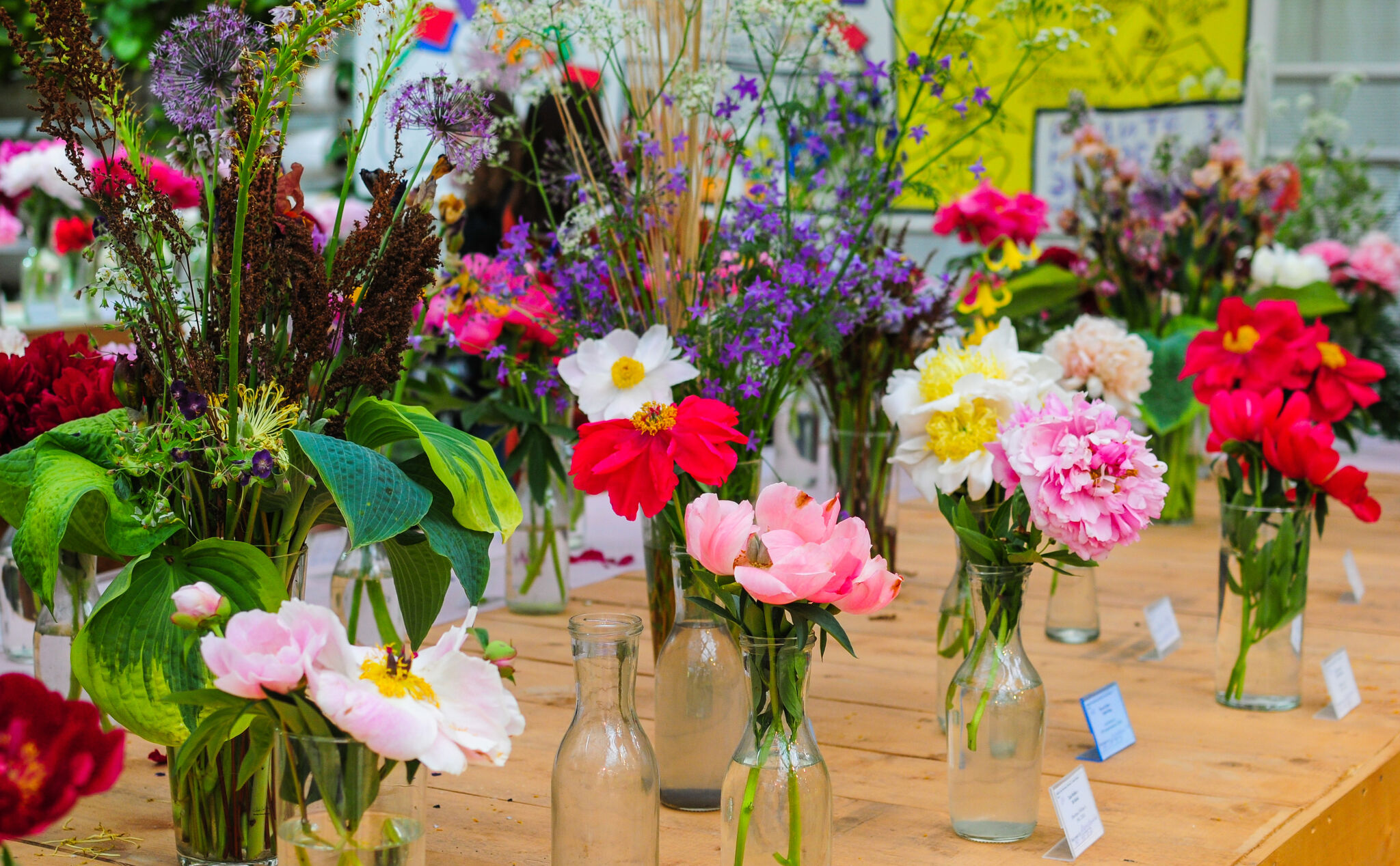 What to expect at the Portage Lake Garden Club flower show