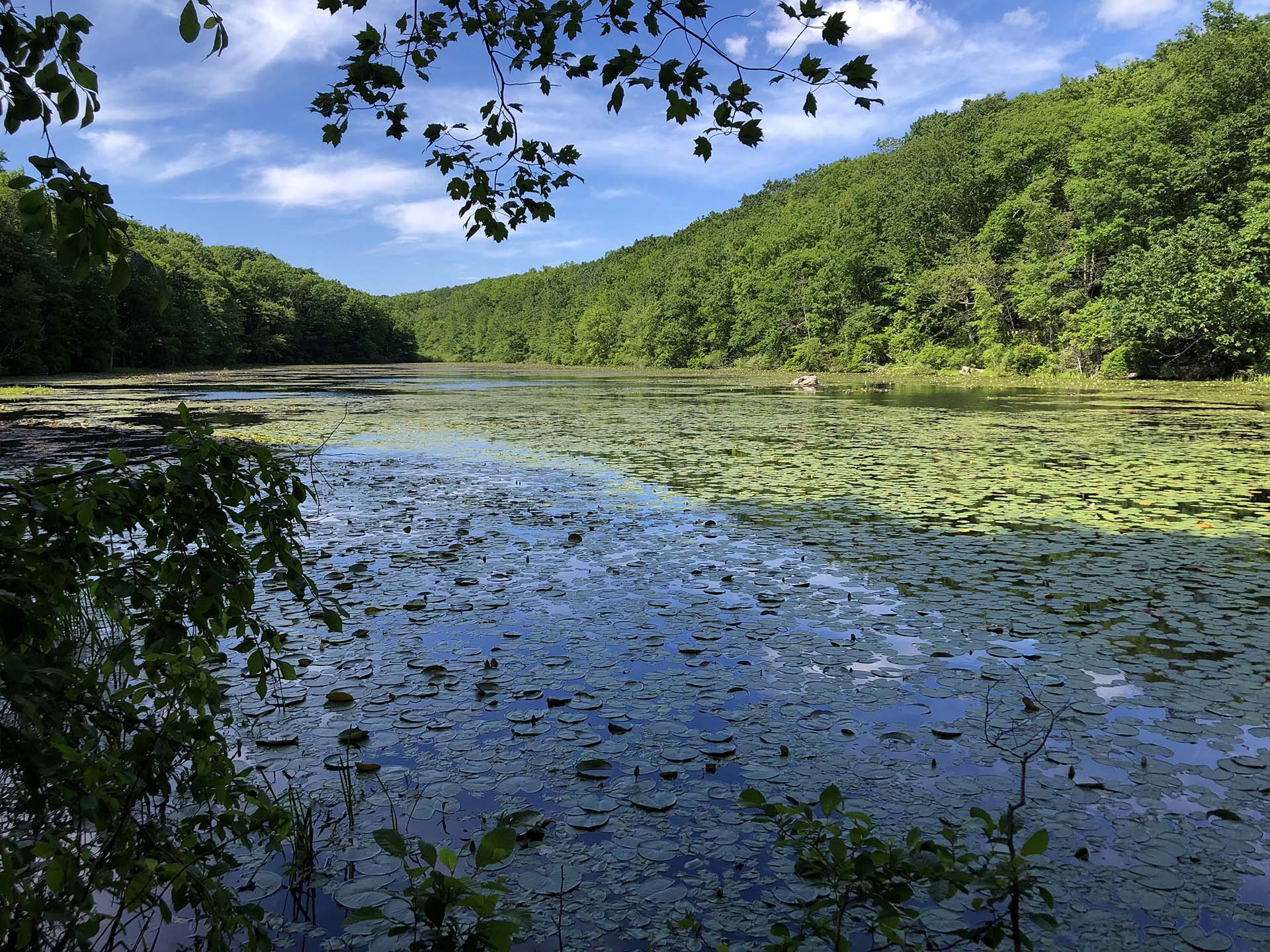 Hike through shoreline woodland at this coastline CT nature preserve