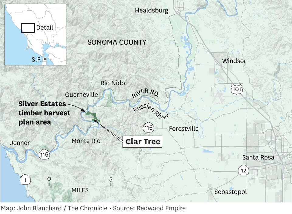 2,000-year-old redwood on the Russian River may finally be conserved