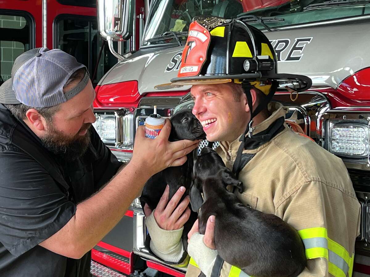 First look at the 2023 Spring firefighter calendar, as they pose with ...