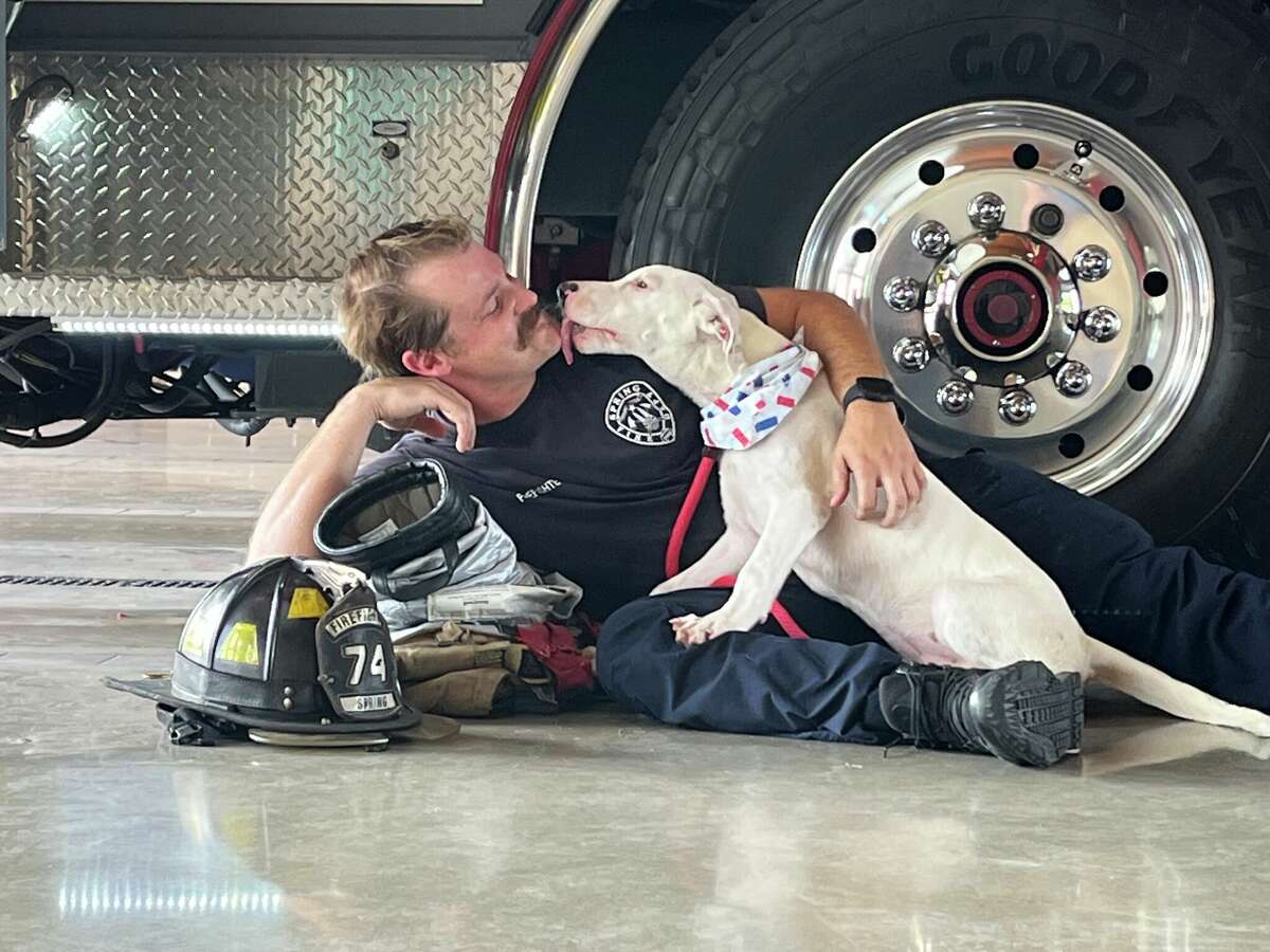 First look at the 2023 Spring firefighter calendar, as they pose with ...