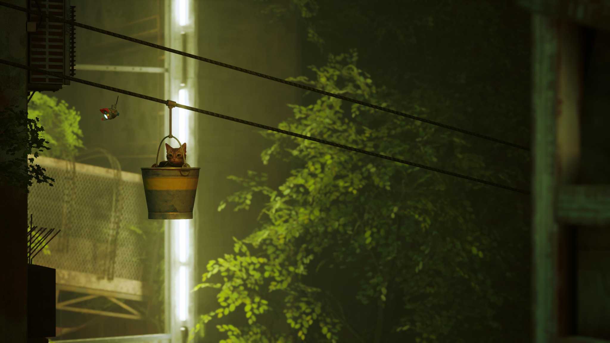 ‘Stray’ brings beauty, feline realism to the game