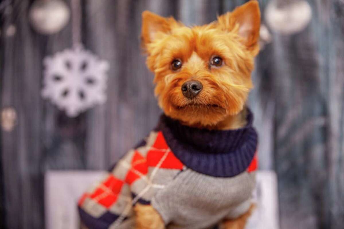 20 things you don't know about me: Amal Tlaige, News10ABC