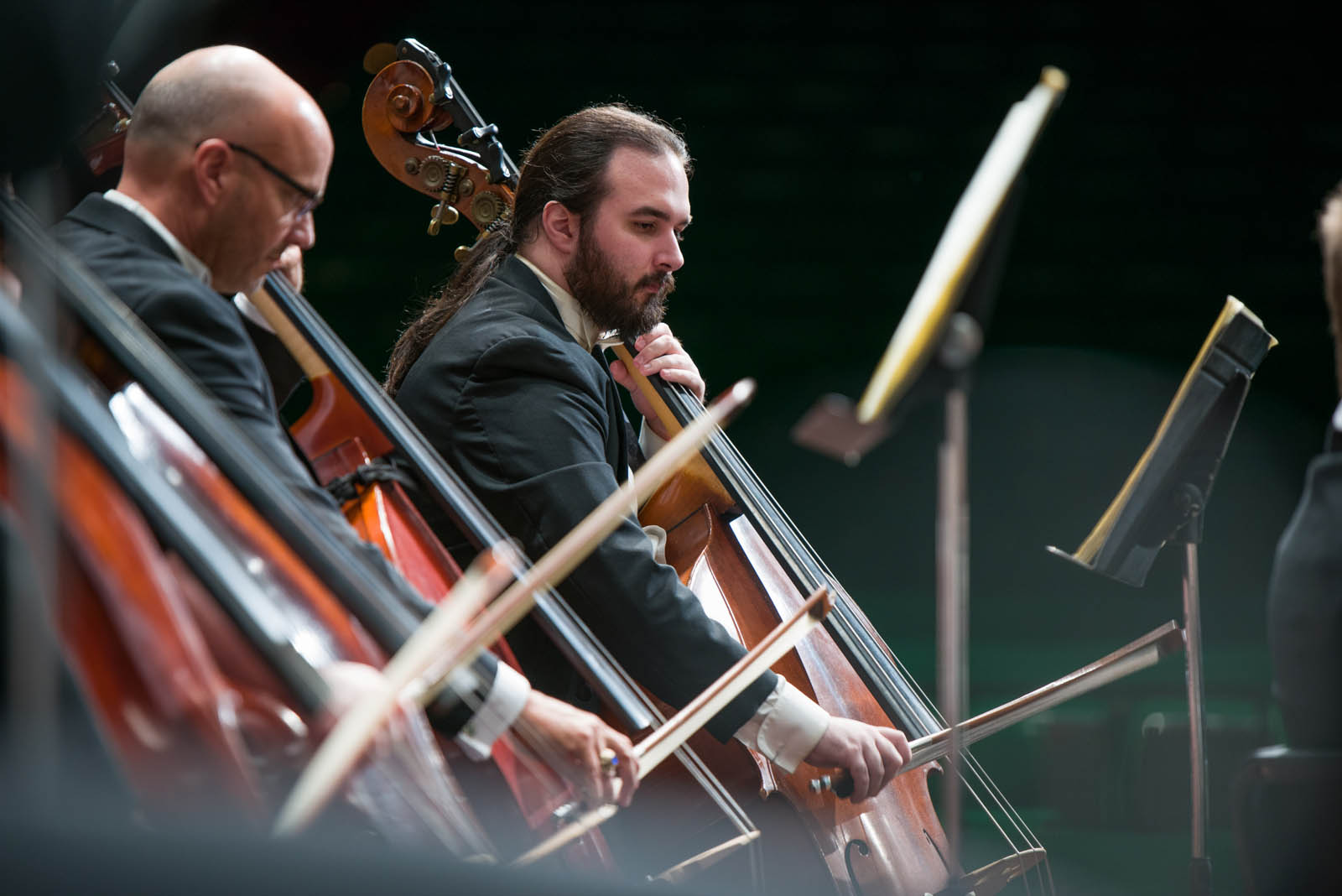 Midland Symphony Orchestra Presents Postcards Concert Nov 4