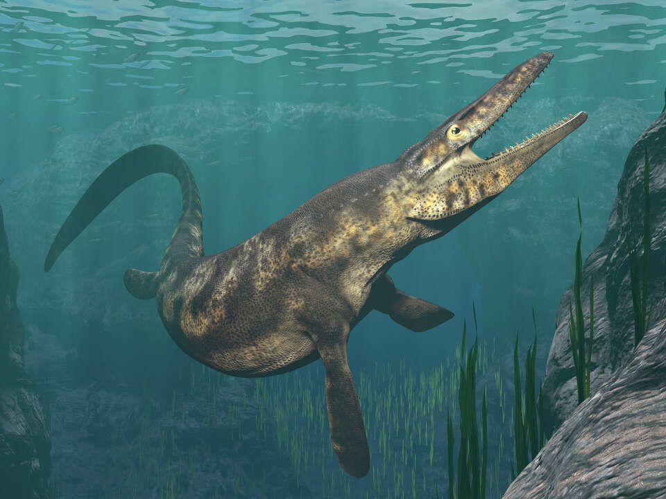 Texas paleontologists discover 30-foot prehistoric lizard
