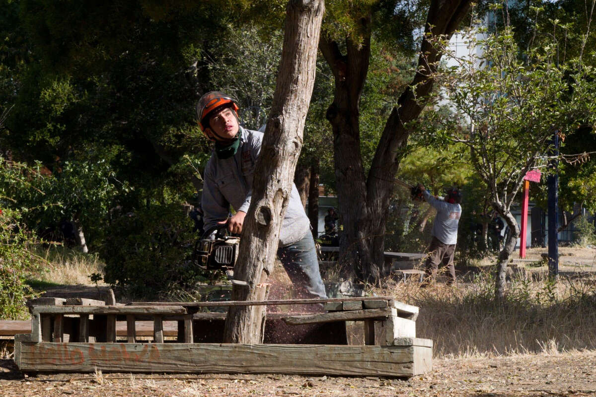 Cal pauses construction at People's Park due to 'violence'