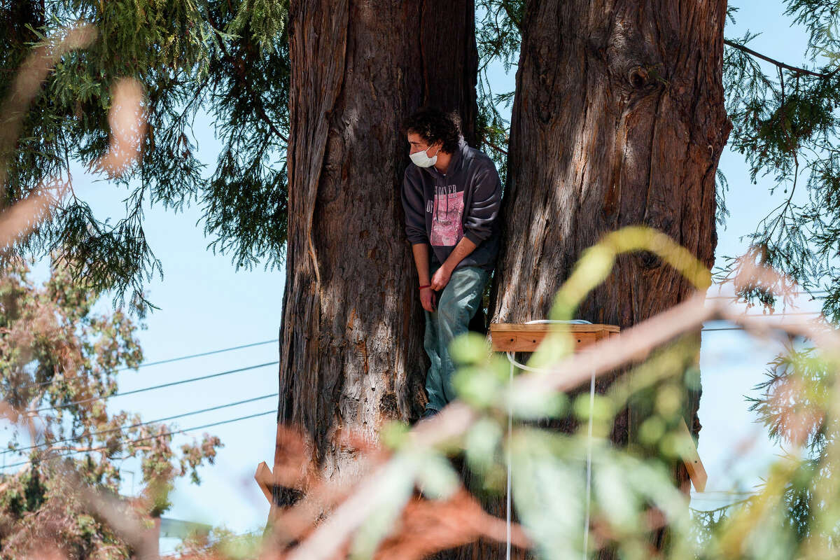 Cal pauses construction at People's Park due to 'violence'