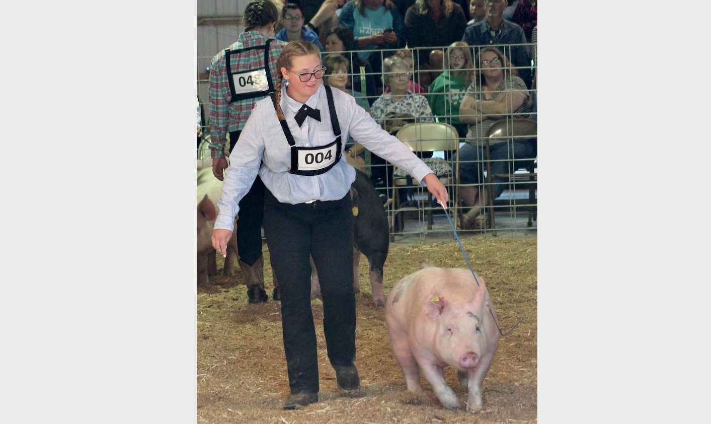 What's going on at the Manistee County Fair in 2022?