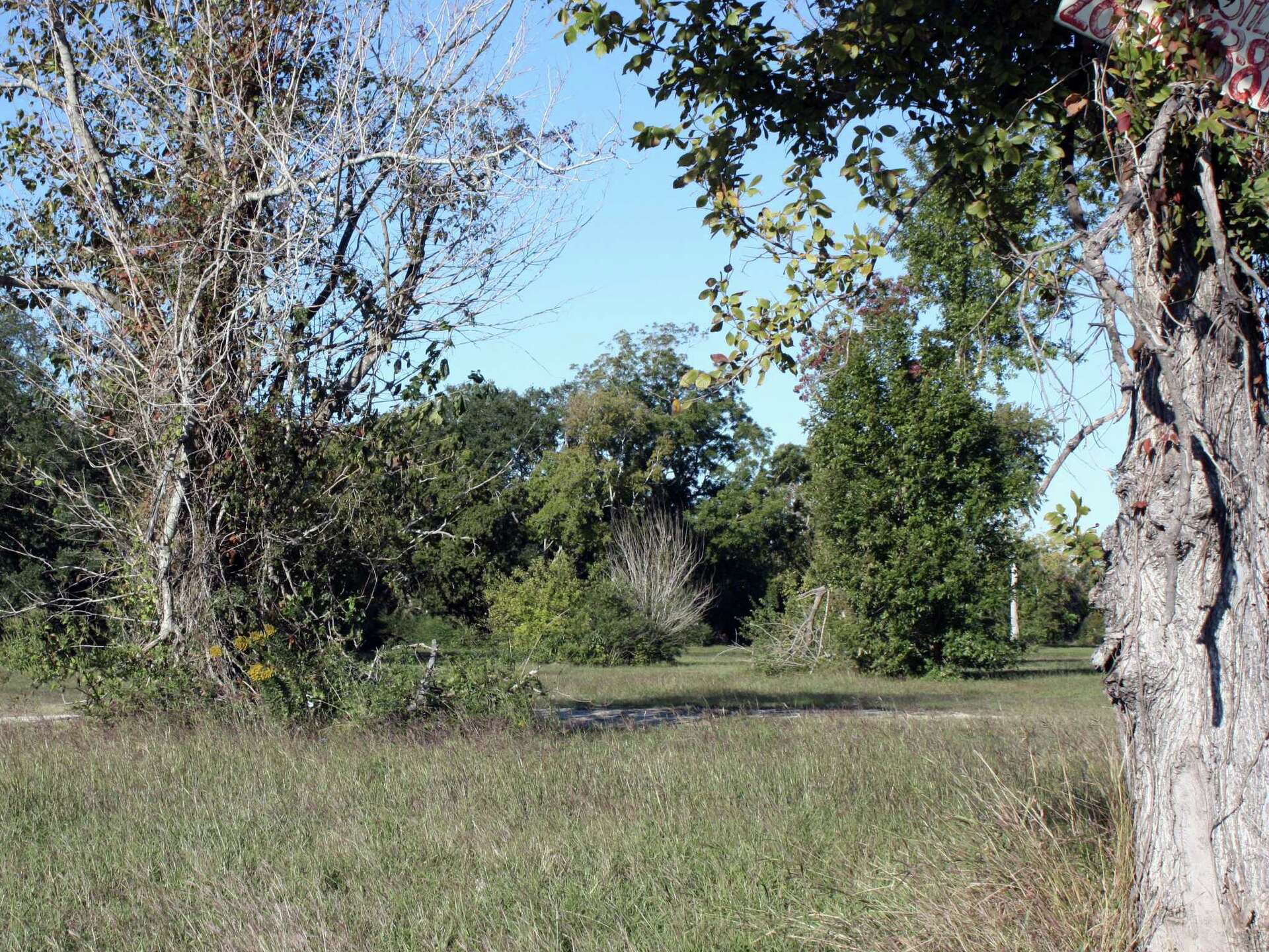 What happens if my neighbor's tree falls on my property? Legal tips