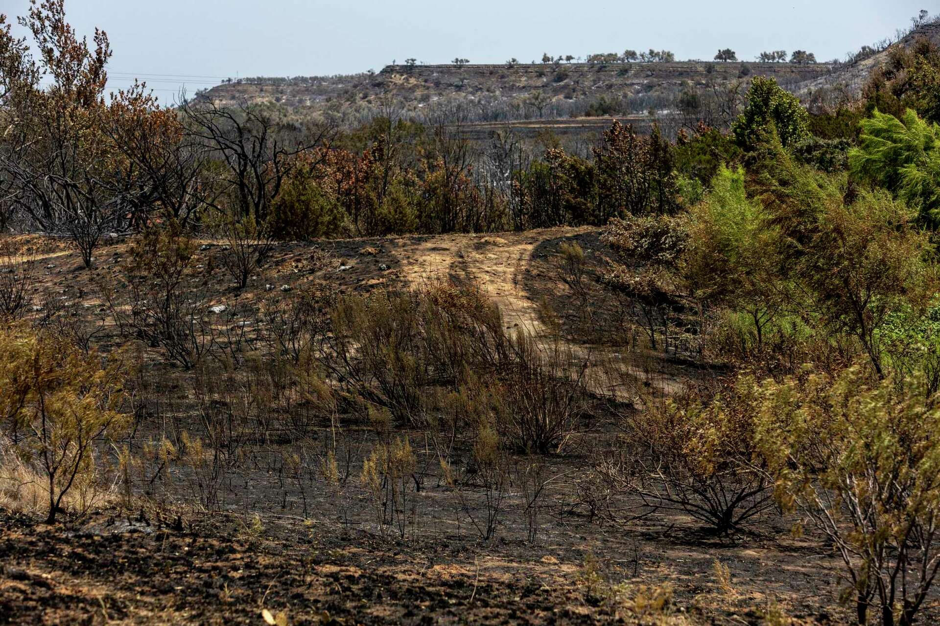 Fredericksburg fire 60% contained, Hill Country still a ‘tinderbox’