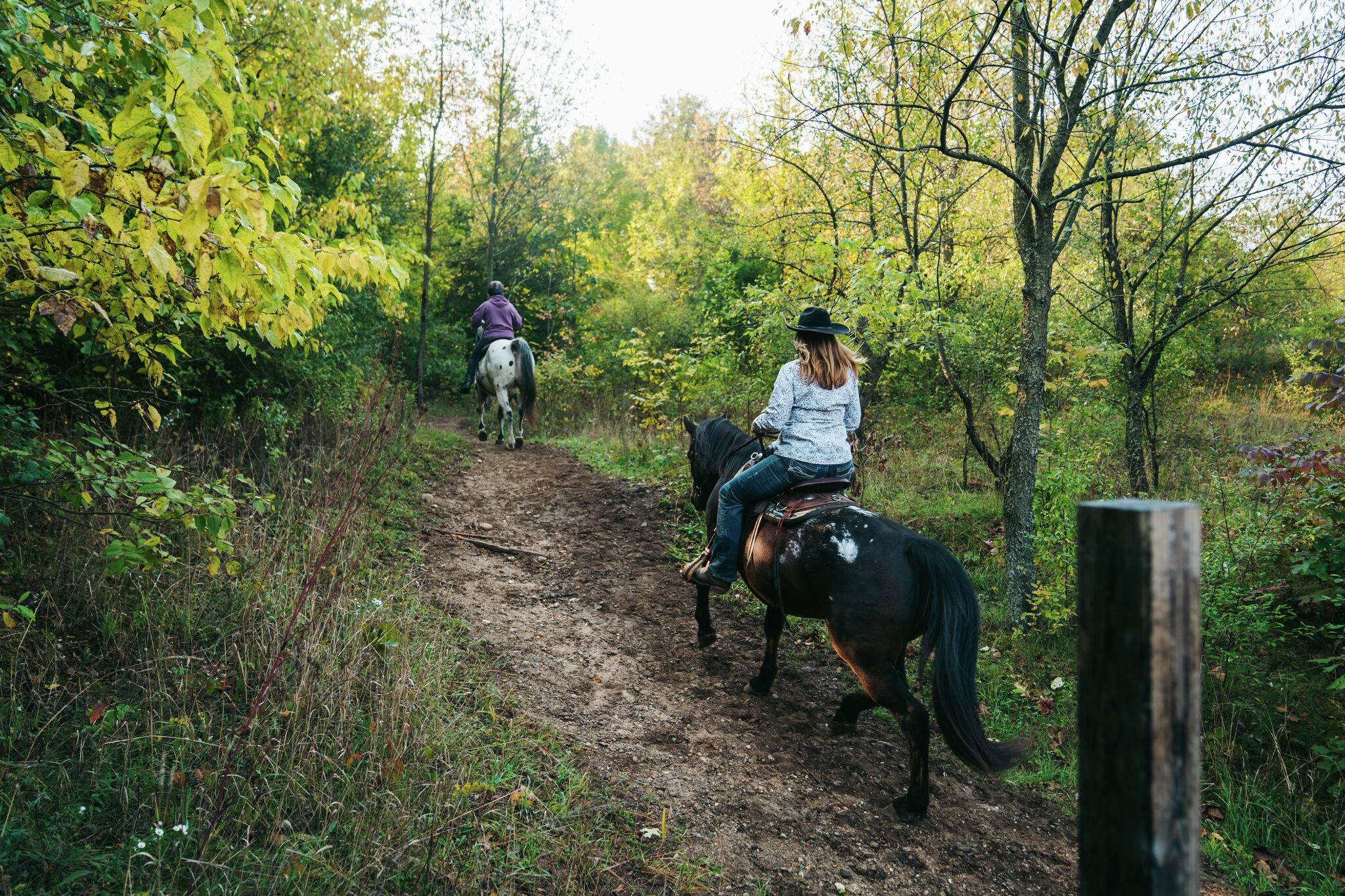 DNR open house on proposed Tin Cup Springs Equestrian Campground