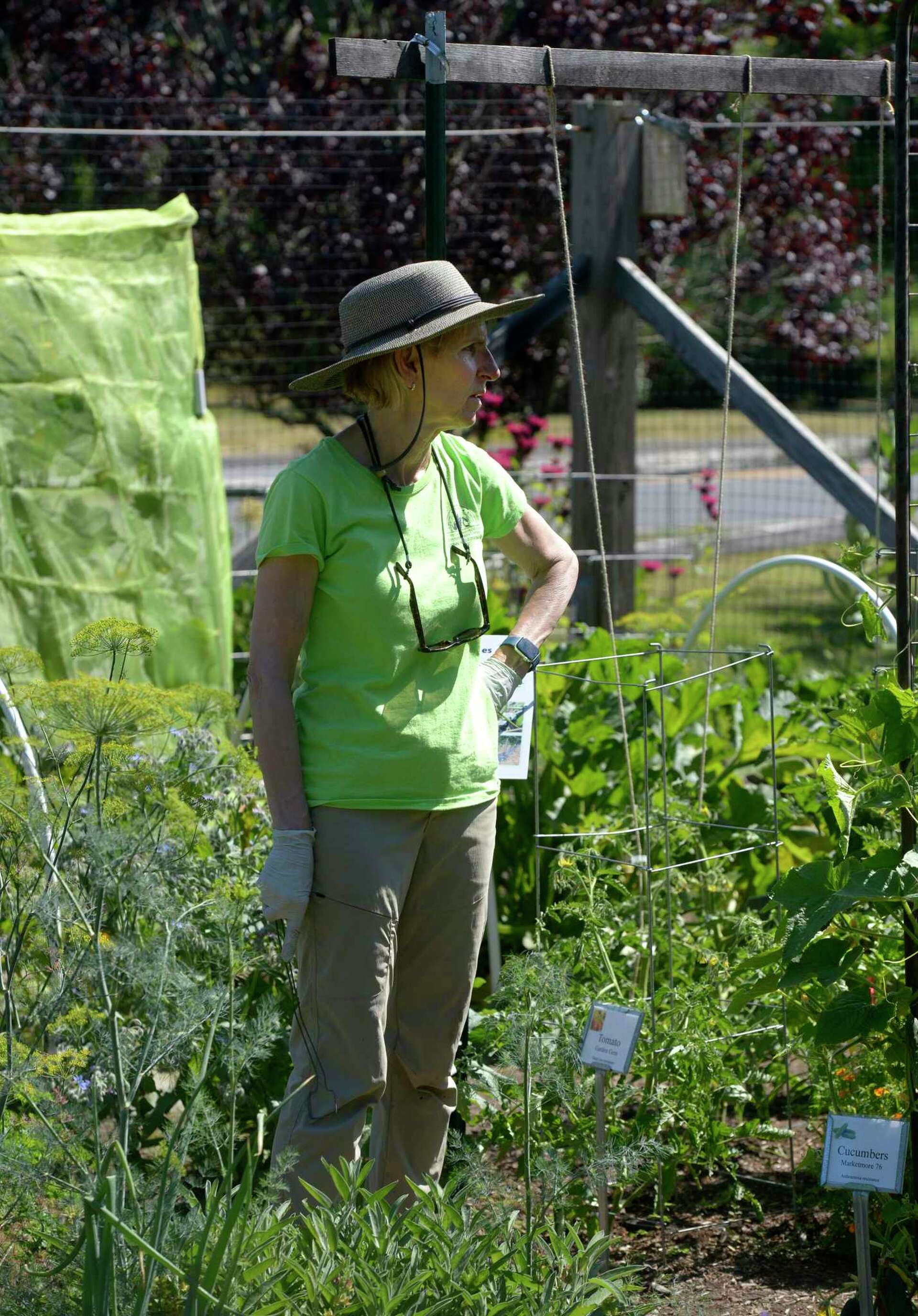 Bethel eyes ownership of UConn Extension site on Stony Hill Road