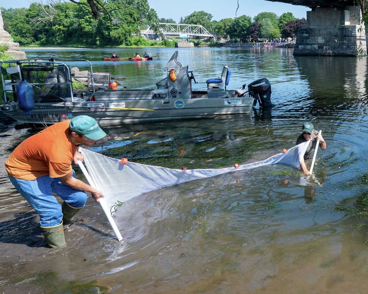 Photos: A day to enjoy the Hudson River, its tributaries and its estuaries