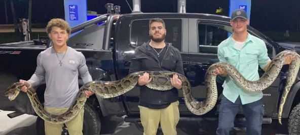 Three Florida college students capture 17-foot-long python in Everglades