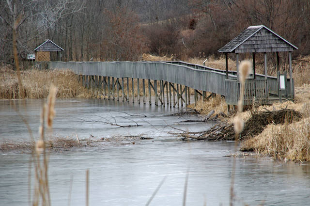 Beavers helping Calhoun County nature area