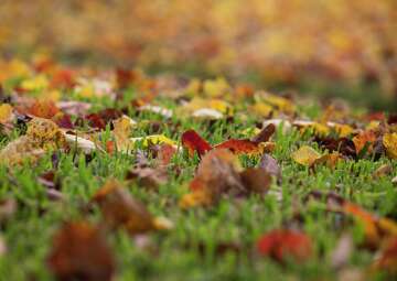 When does fall start? Your autumnal questions, answered