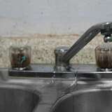 Will the Gulf of Mexico protect its coral? [Opinion]