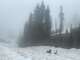 A snow-covered hike on Mount Rainier's Skyline Trail