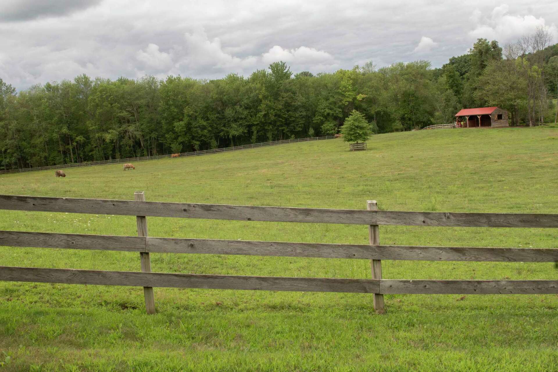 Sand Lake residents concerned about June Farms expansion plans