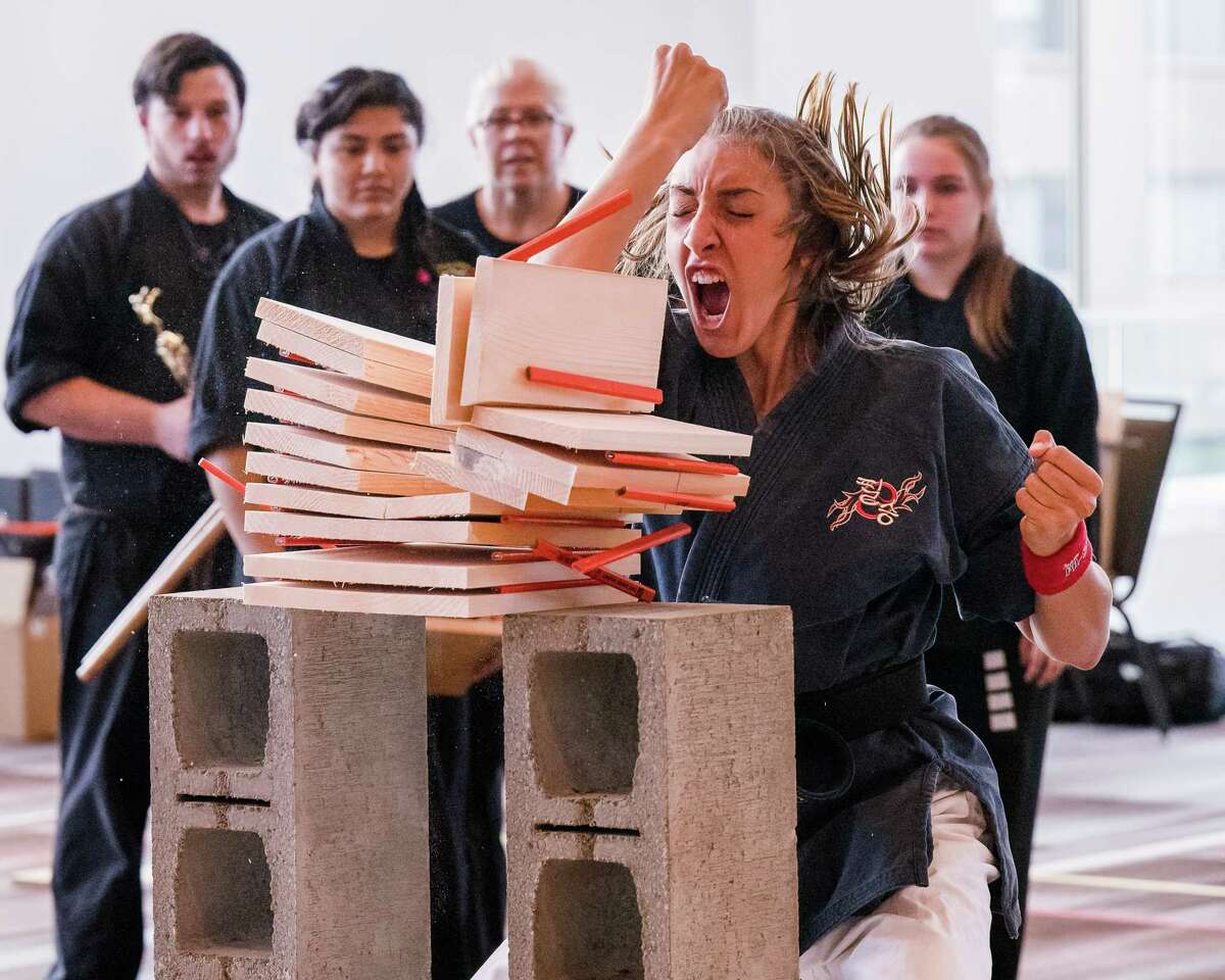 Photo gallery: Martial arts gathering in Albany